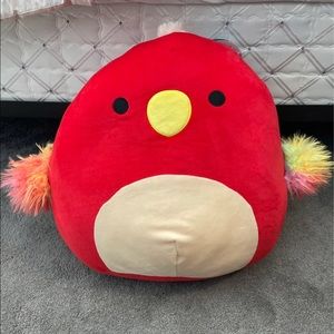 Kellytoy | Toys | Nwt Paco The Parrot Squishmallow | Poshmark
